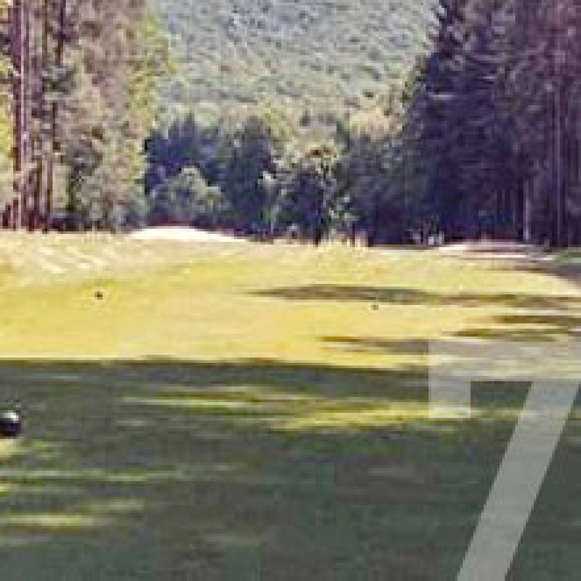 Hole By Hole - Bowling Green Golf Club